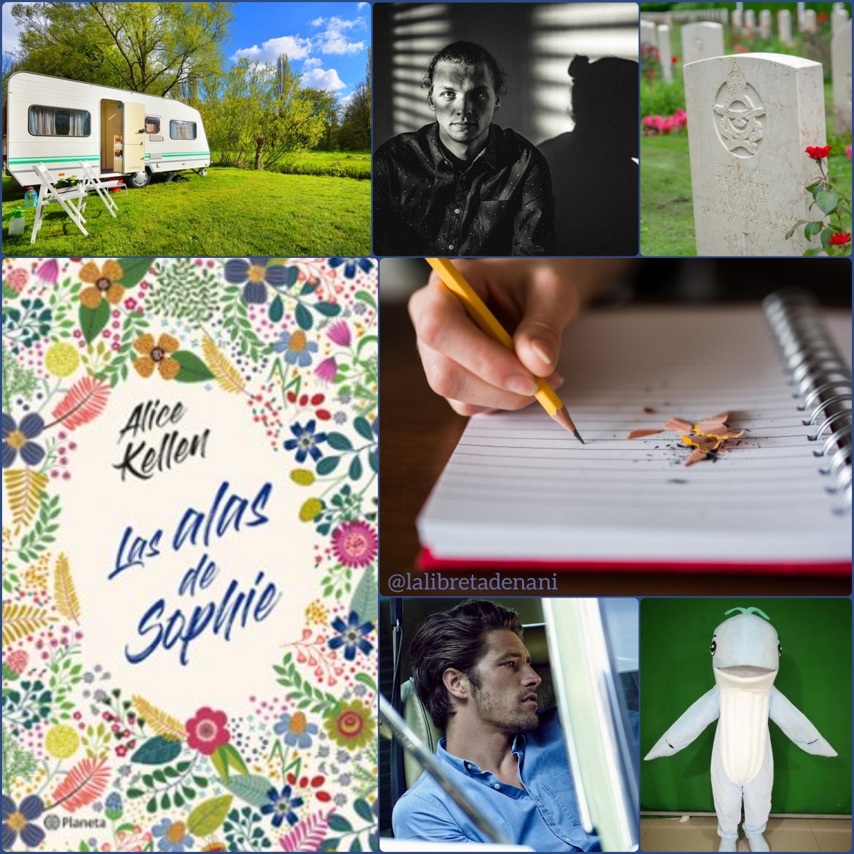 Las alas de Sophie – Alice Kellen – La libreta de Nani